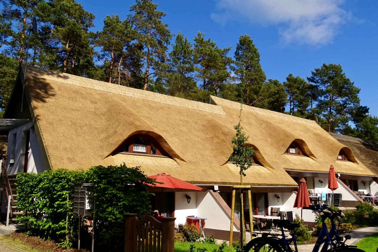 Het dak in vijf definities | Nieuws | NBD Nederlandse Bouwdocumentatie