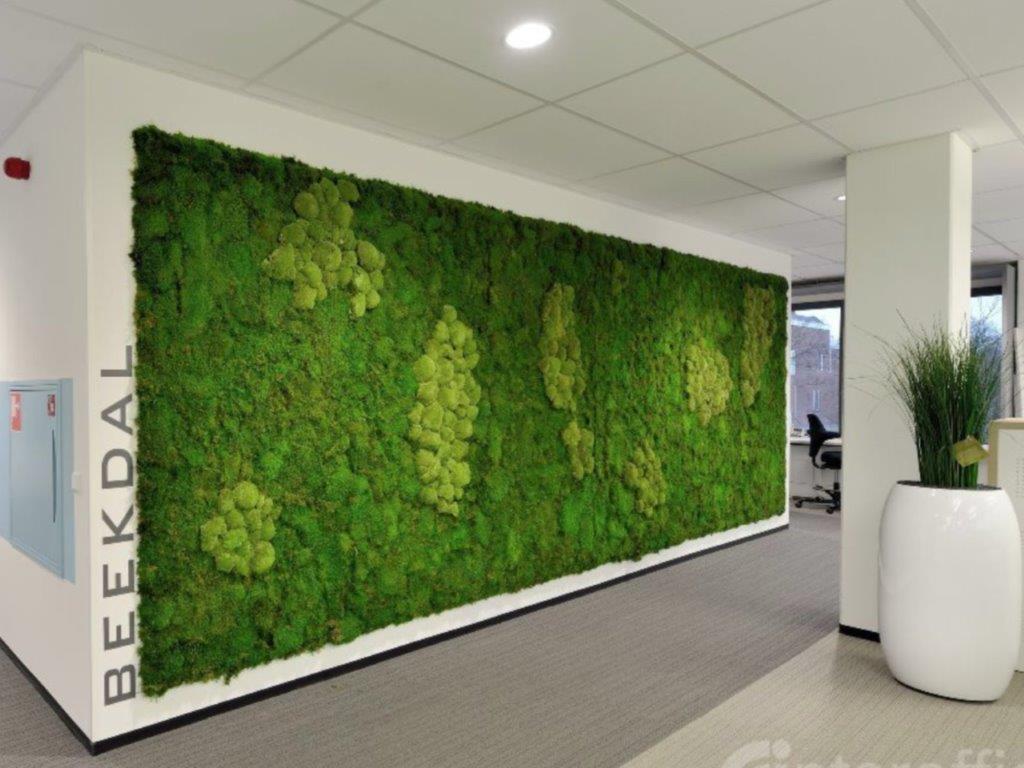 Soundless Greenwall akoestische wandpanelen met mos | NBD-Online | product